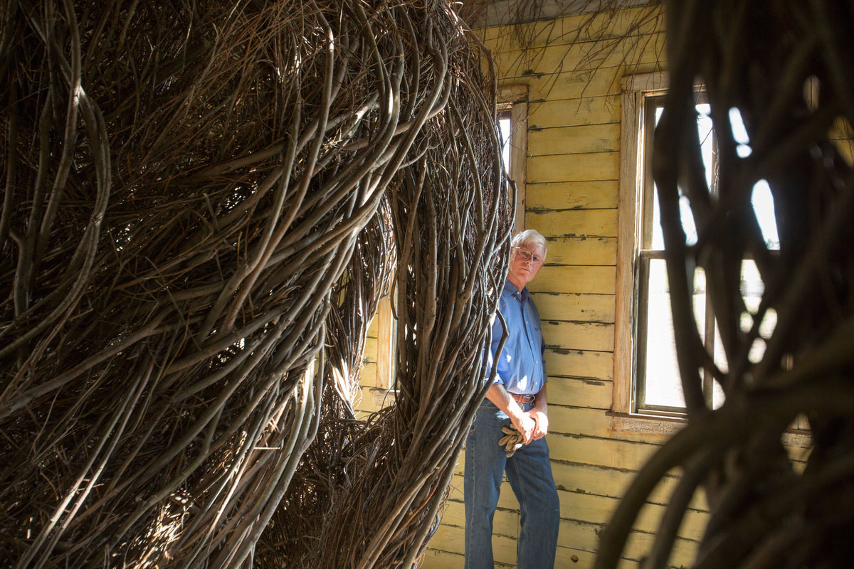 Patrick Dougherty – Artsuite