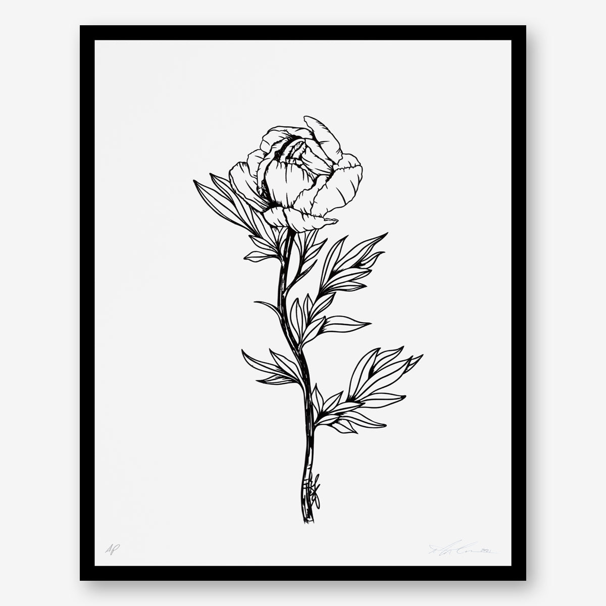 Artsuite - Mathew Curran - Untitled Flower #1